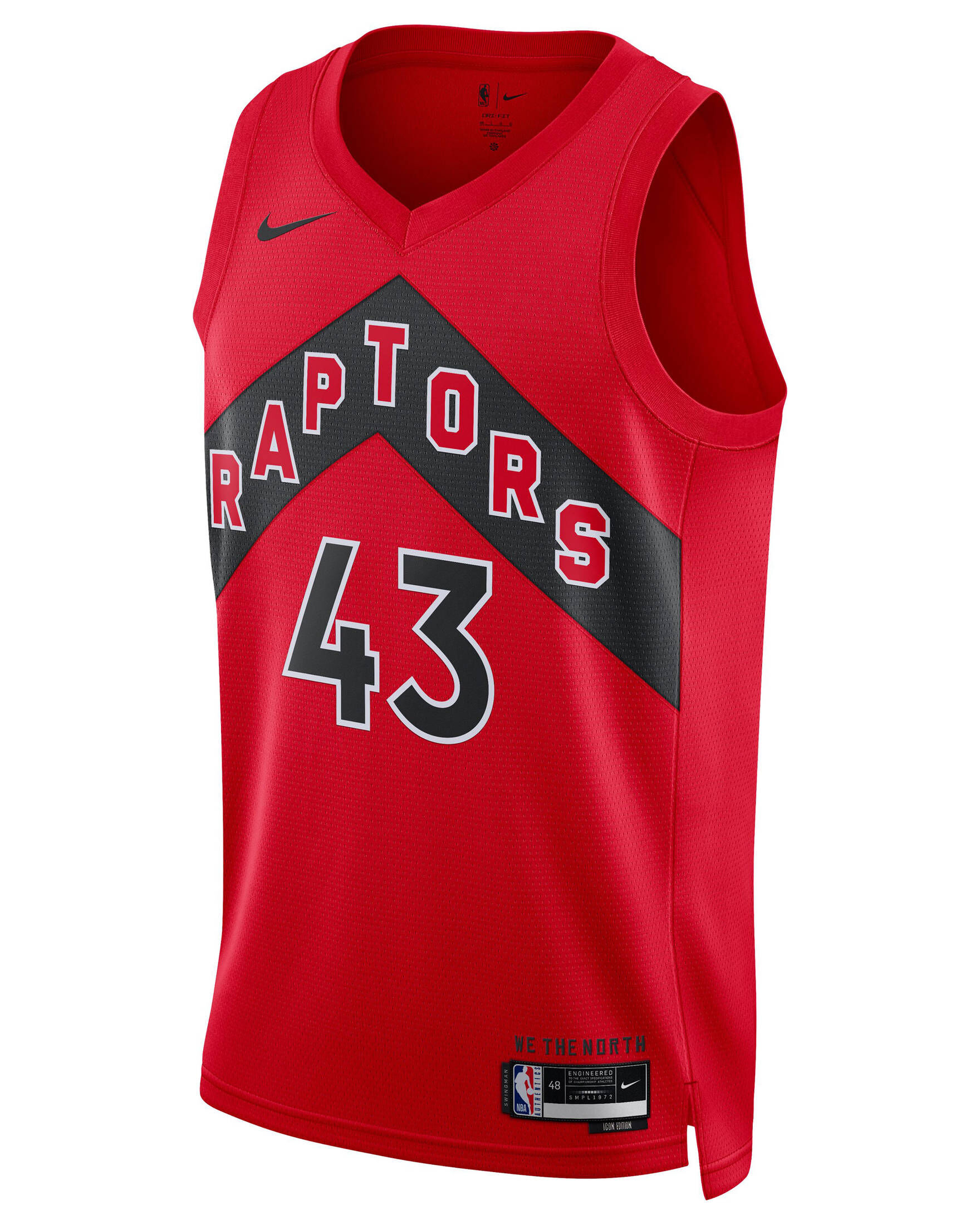 Nike Herren Basketballtrikot NBA PASCAL SIAKAM TORONTO RAPTOS ICON ...