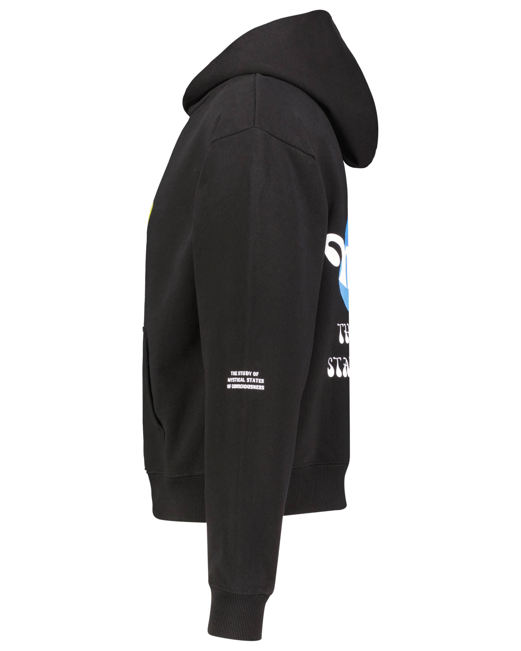 MSFTSrep Herren Hoodie in schwarz kaufen | engelhorn