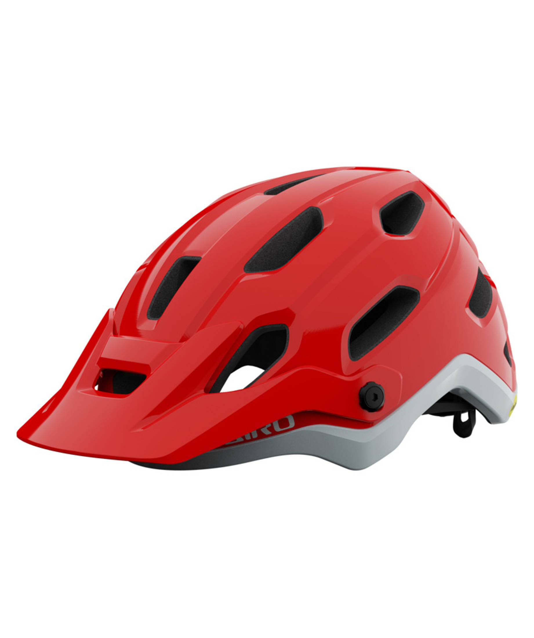 Herren Radhelm "Giro Source Mips"