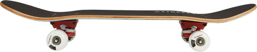 Kinder Skateboard SKB 305