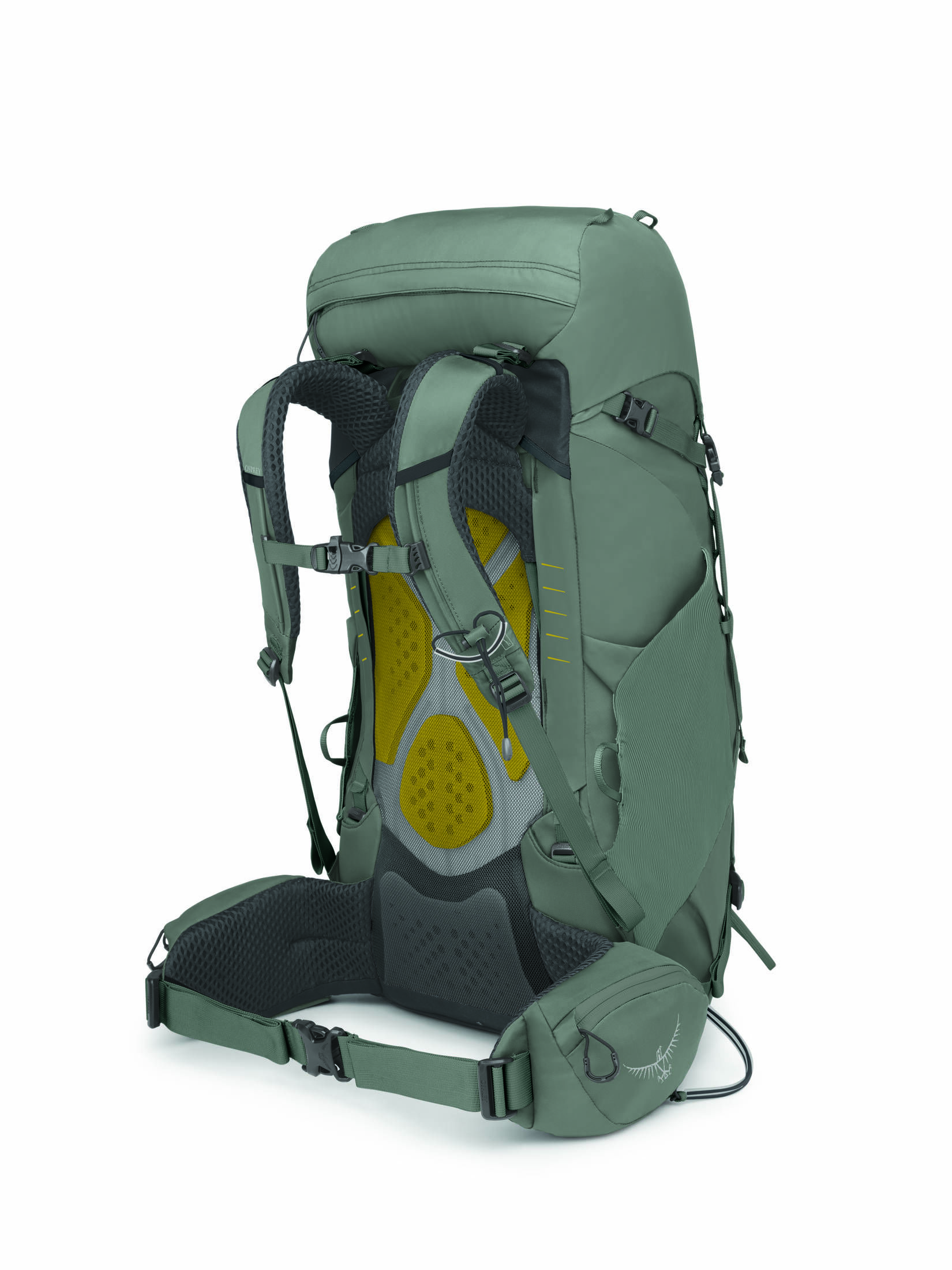 Osprey Trekkingrucksack KYTE 38 in grün kaufen | engelhorn