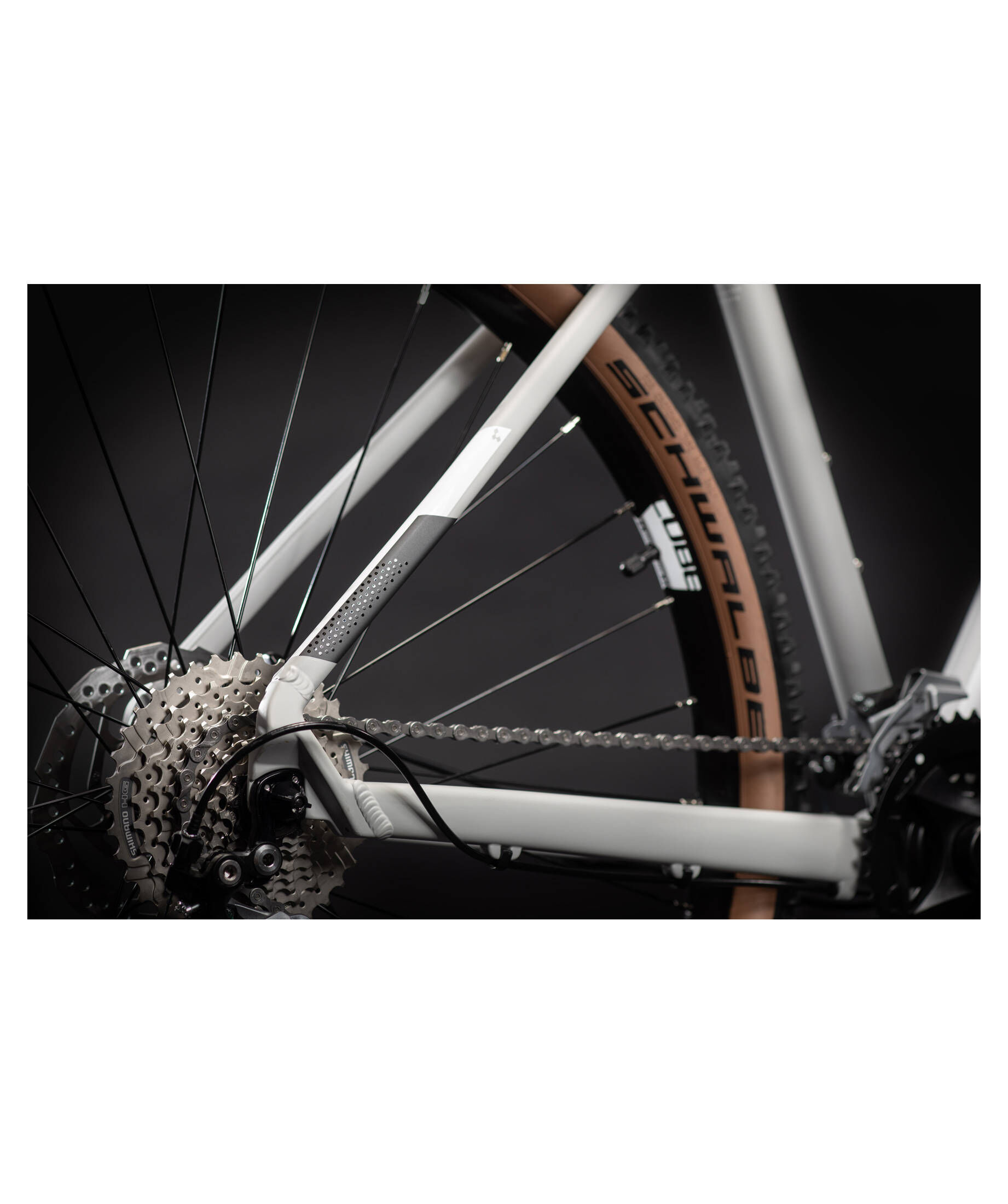 Mountainbike "Access WS Pro"