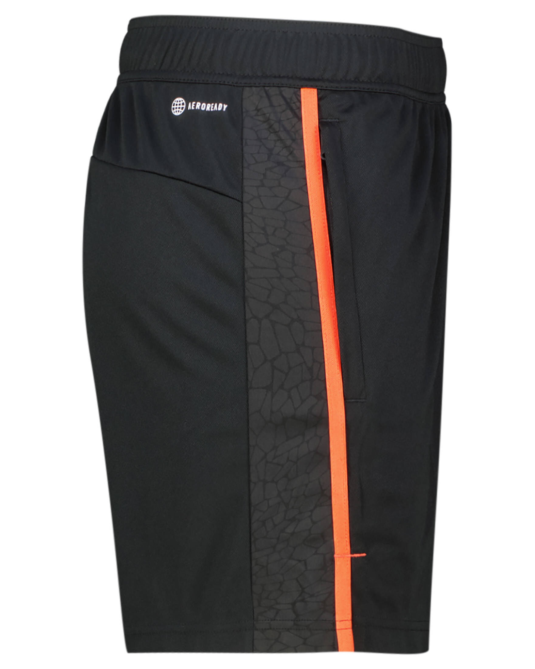 Herren Shorts WORKOUT BASE