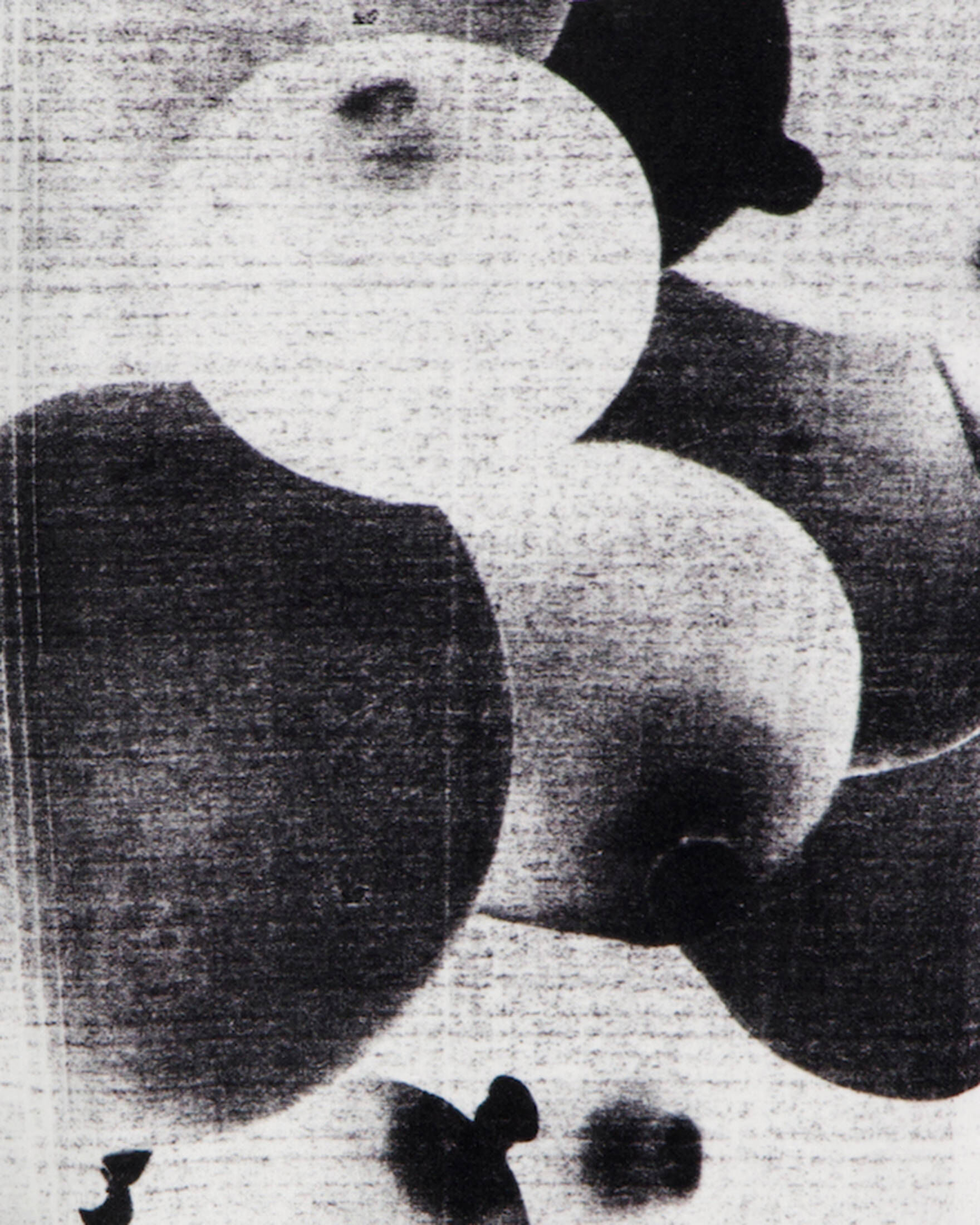 Damen Keid BALLON PRINT