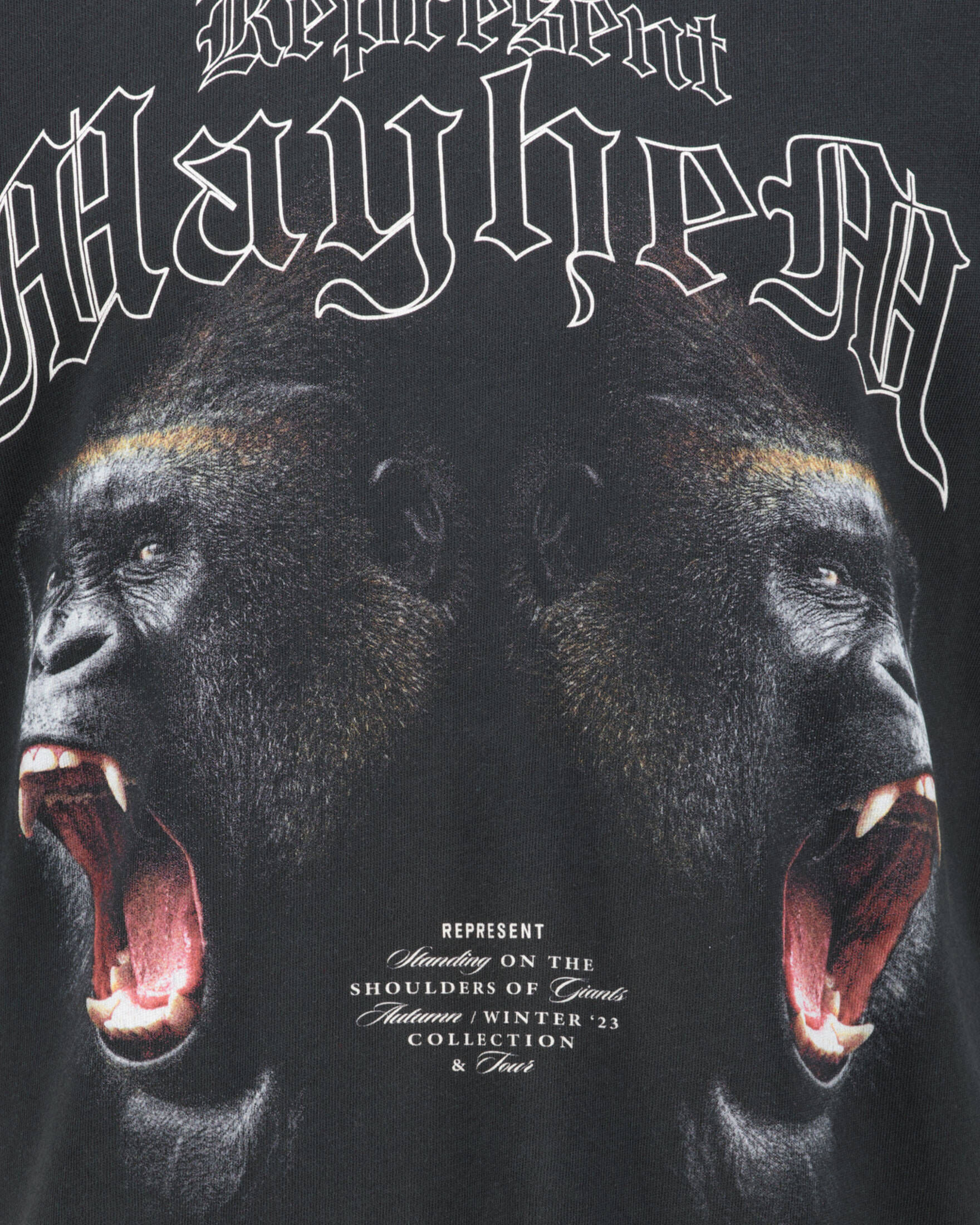 Herren T-Shirt MAYHEM