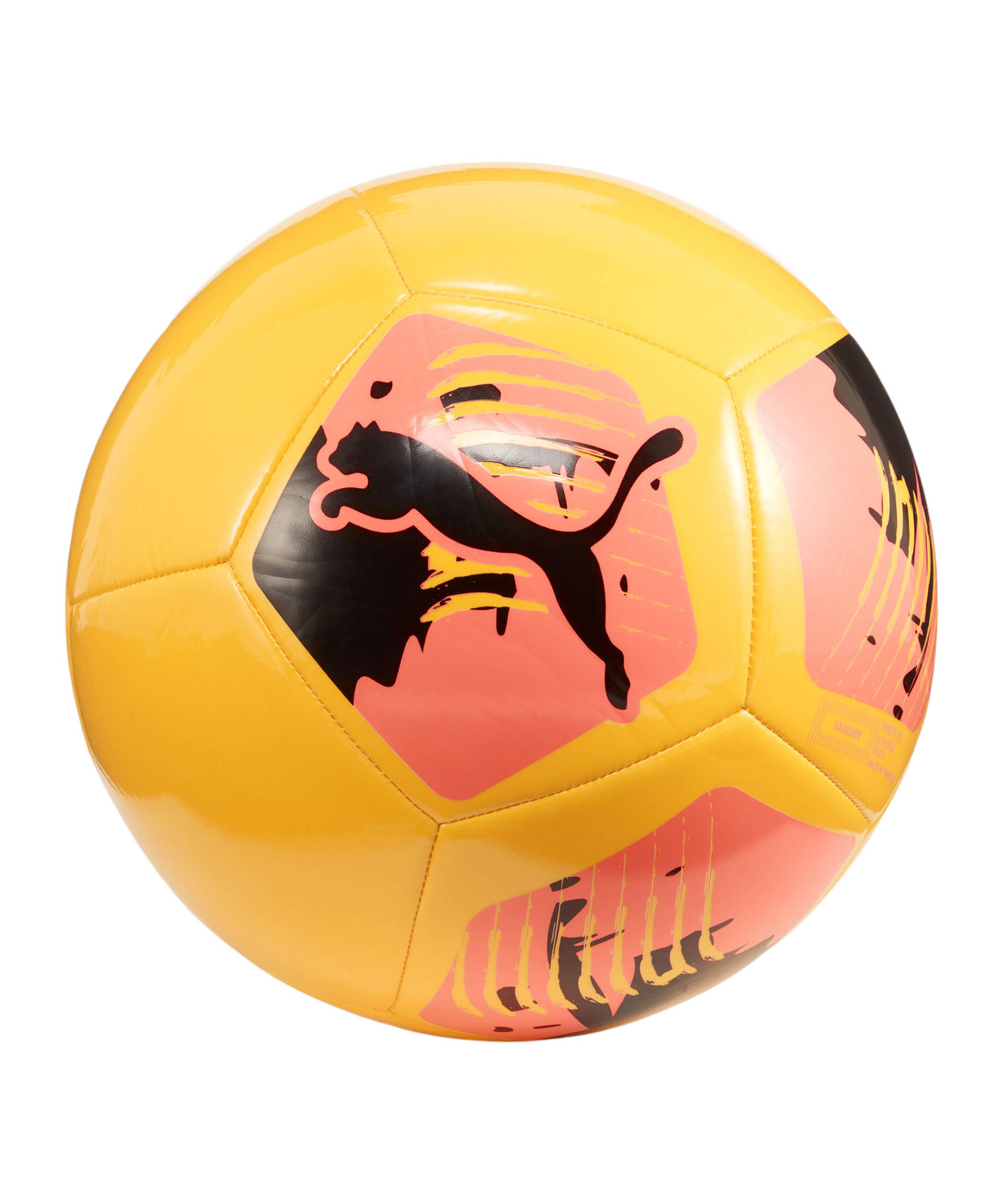 Equipment - Fußbälle Big Cat Trainingsball