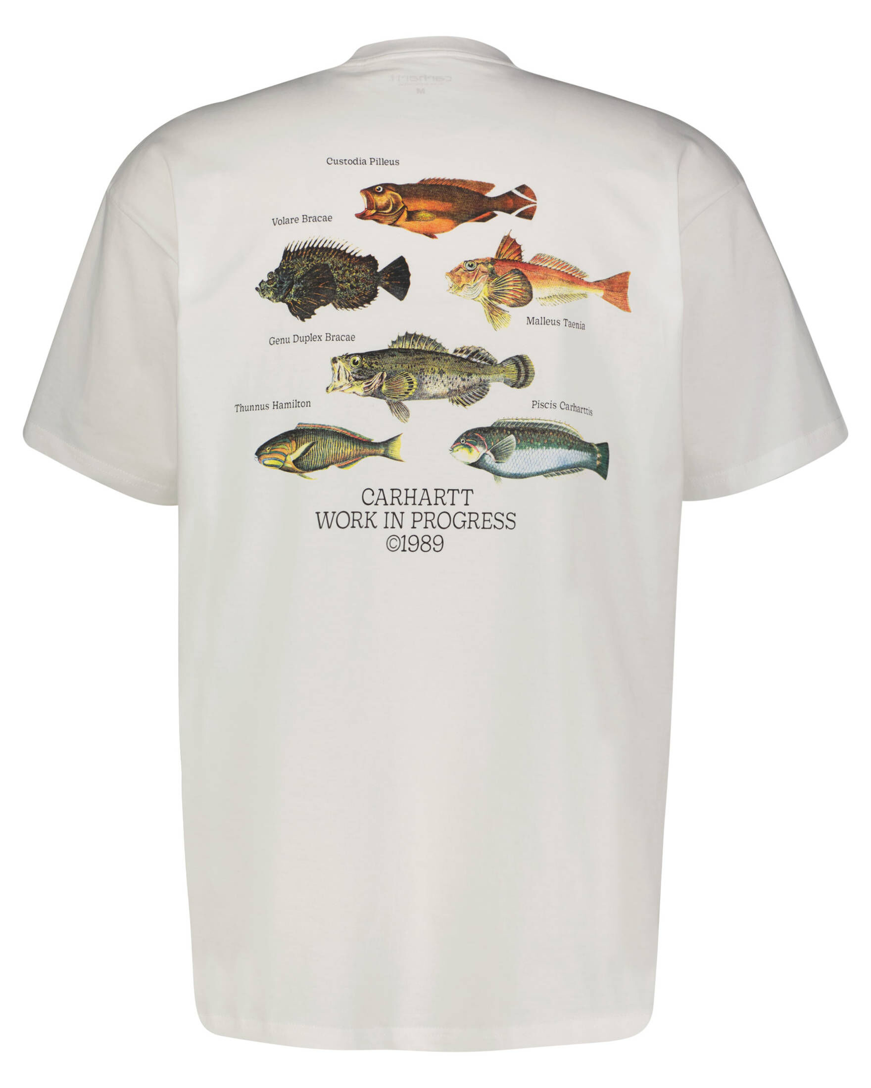 Herren T-Shirt FISH Loose Fit