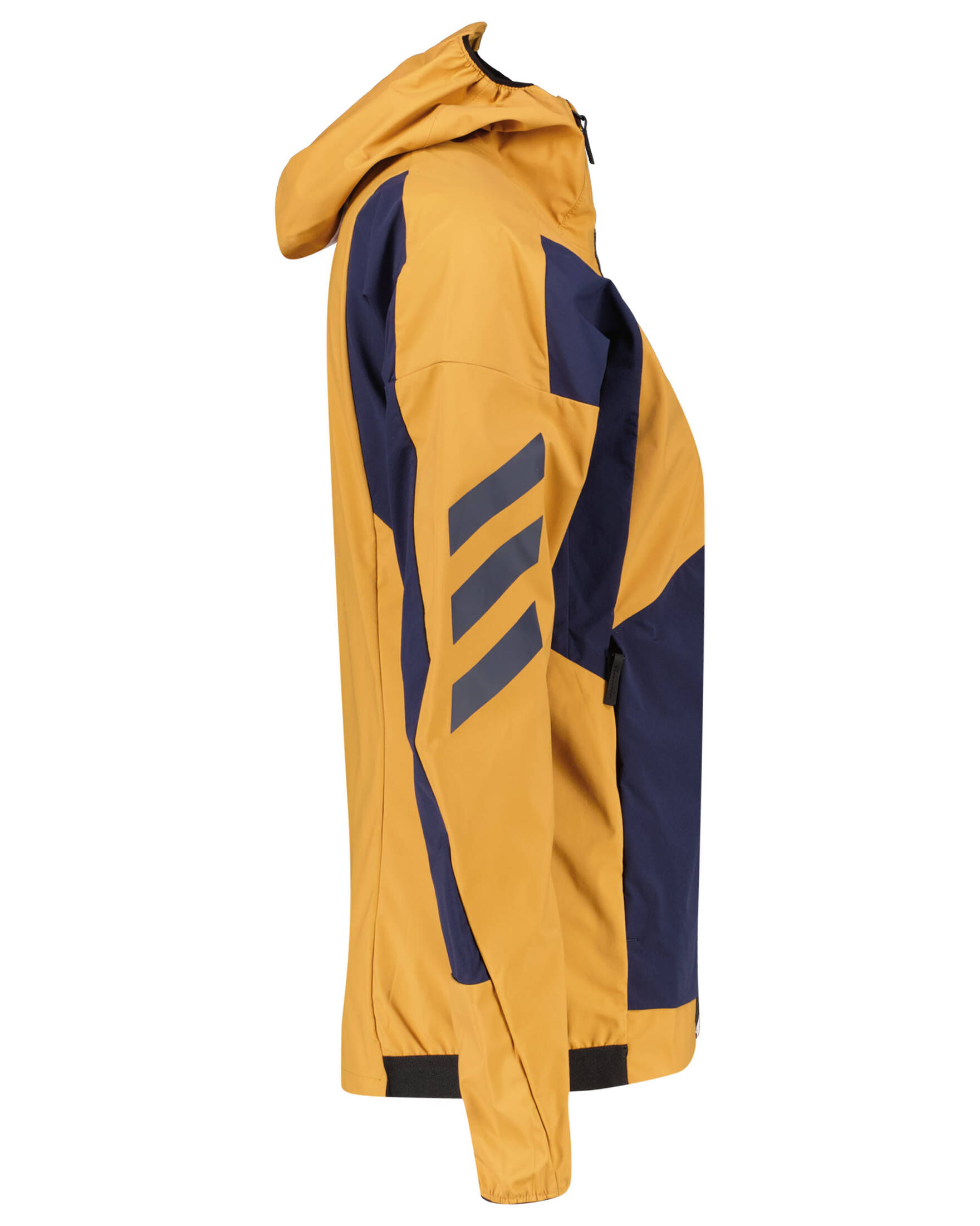 Damen Skijacke TERREX SKYCLIMB GORE SOFT SHELL